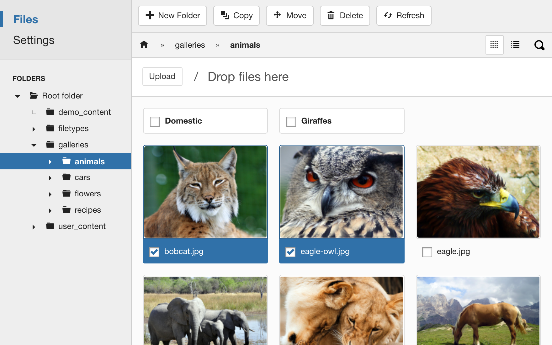 Fileman Is The Most Powerful File Video And Image Manager Extension For Joomla 4680